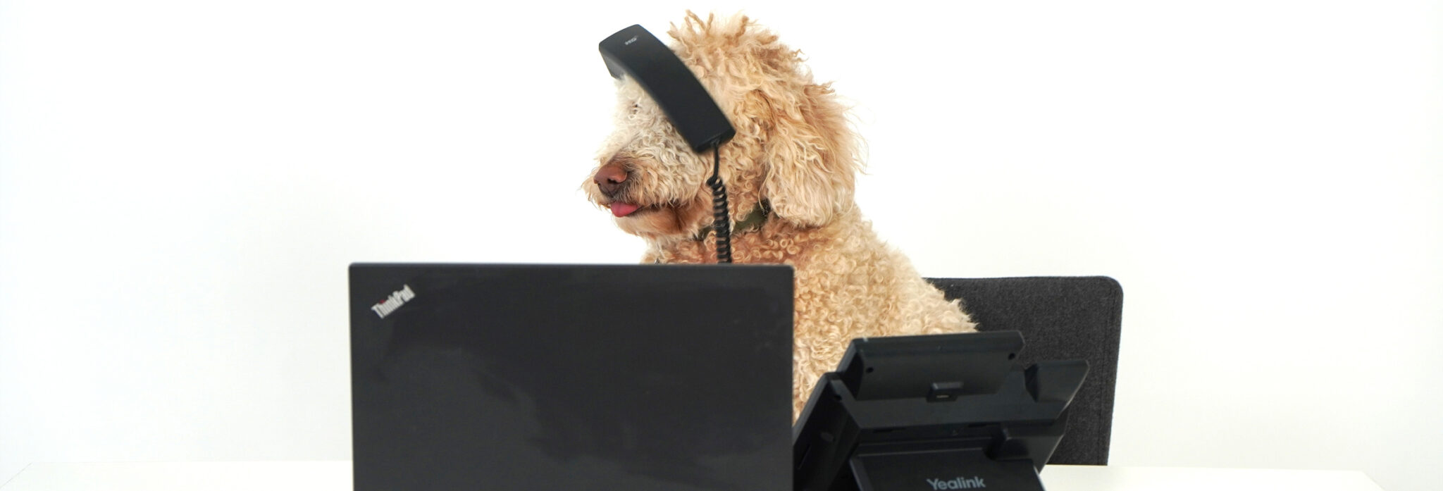 Kontakt - https://www.hardenberg-consulting.com/